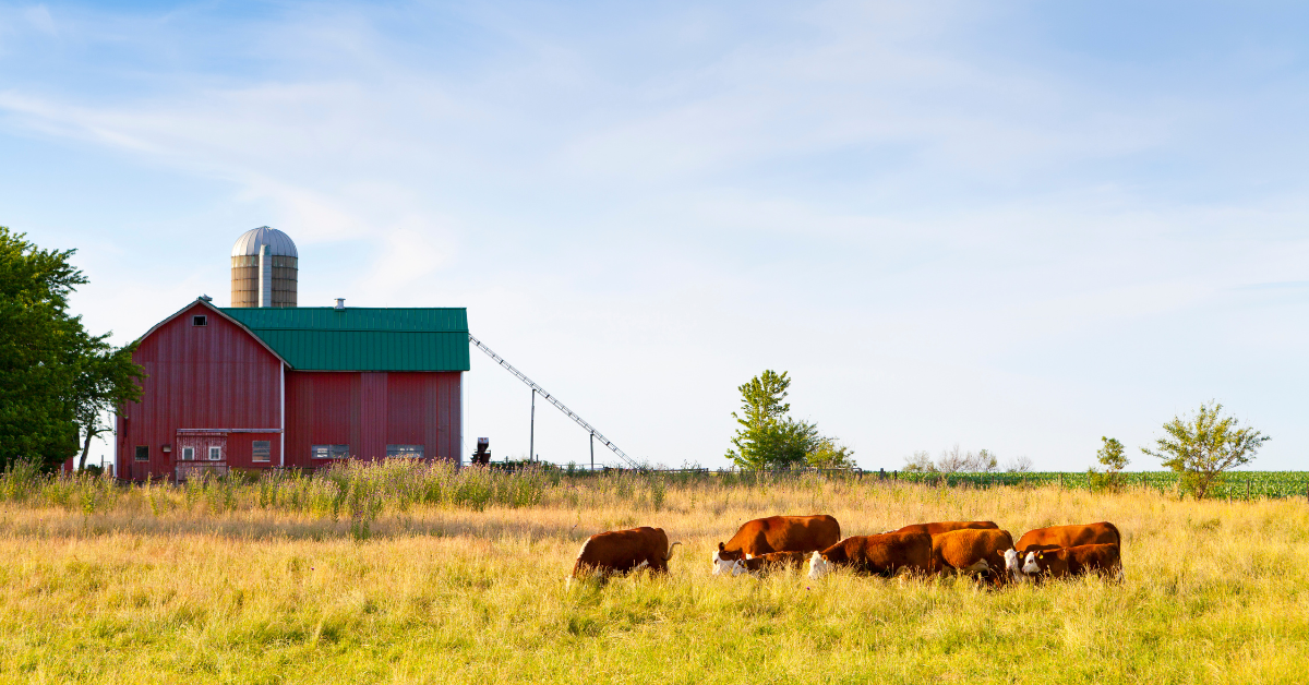 Land Development Services